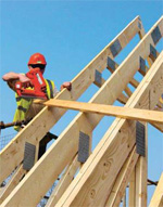 Global Timber and Wood Products Marketplace | Lumber & Wood Products